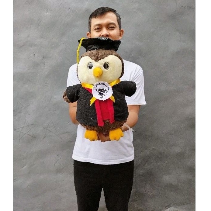 Jual Boneka Wisuda Bear Owl Burung hantu bahan buket | Shopee Indonesia