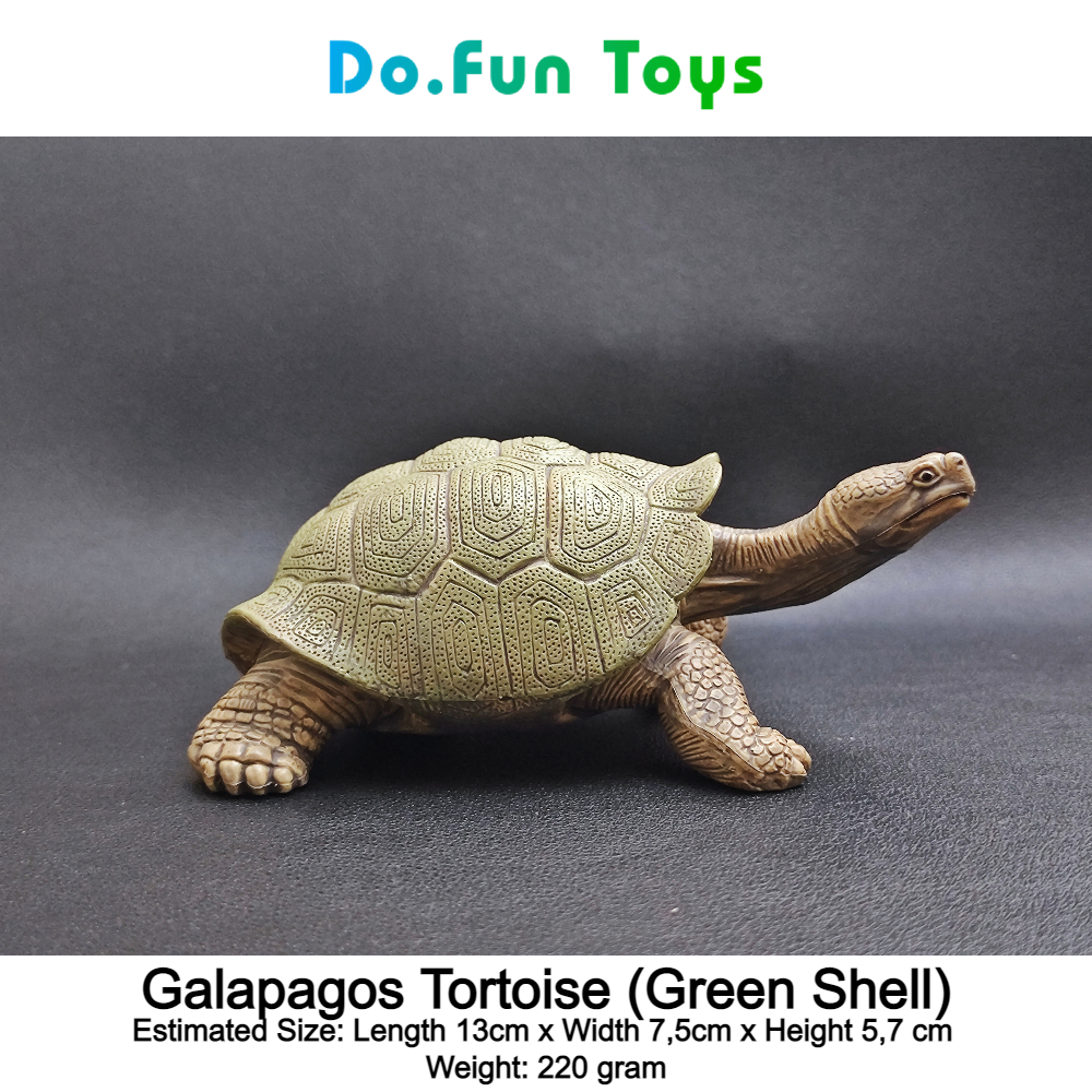 Jual Animal Figurine | TORTOISE / Koleksi Mainan Miniatur Binatang ...