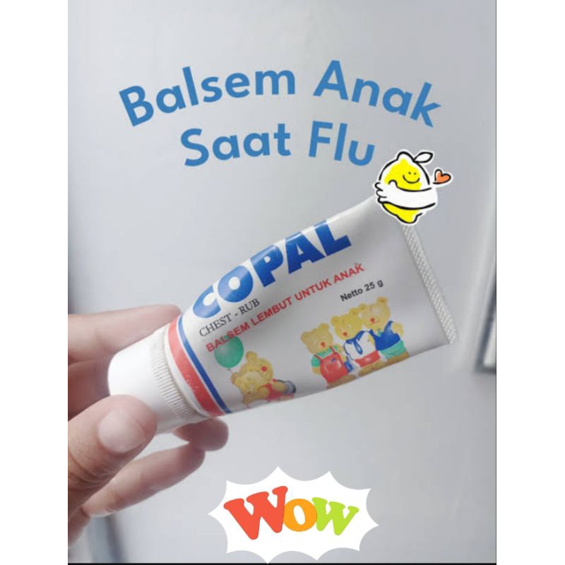 Jual COPAL CHEST BALM - PEREDA BATUK PILEX ANAK | Shopee Indonesia