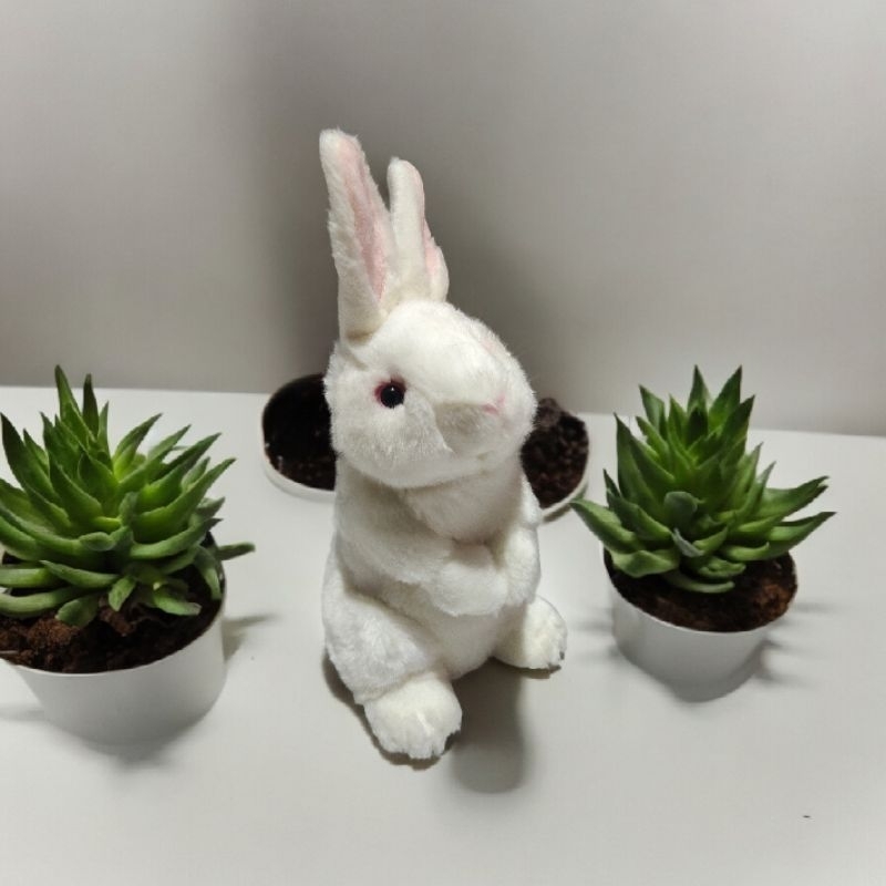 Jual Boneka Kelinci Putih Lucu | Shopee Indonesia