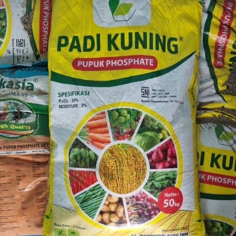 Jual Pupuk Phosphate TS Padi Kuning 50kg | Shopee Indonesia