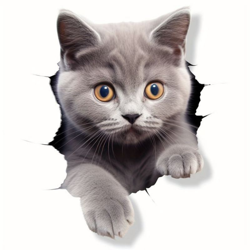 Jual stiker kucing lucu 3d size 15x20 cm | Shopee Indonesia