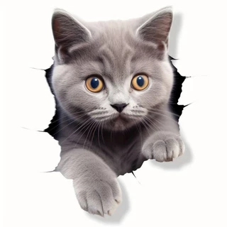 Jual Stiker Kucing Terlengkap & Harga Terbaru April 2025 | Shopee Indonesia