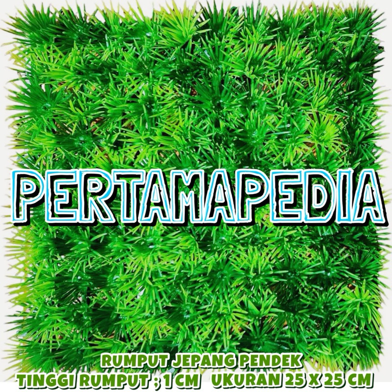 Jual (Silahkan Dipilih) Satuan RUMPUT HIJAU PLASTIK FULL Ukuran 25X25 ...