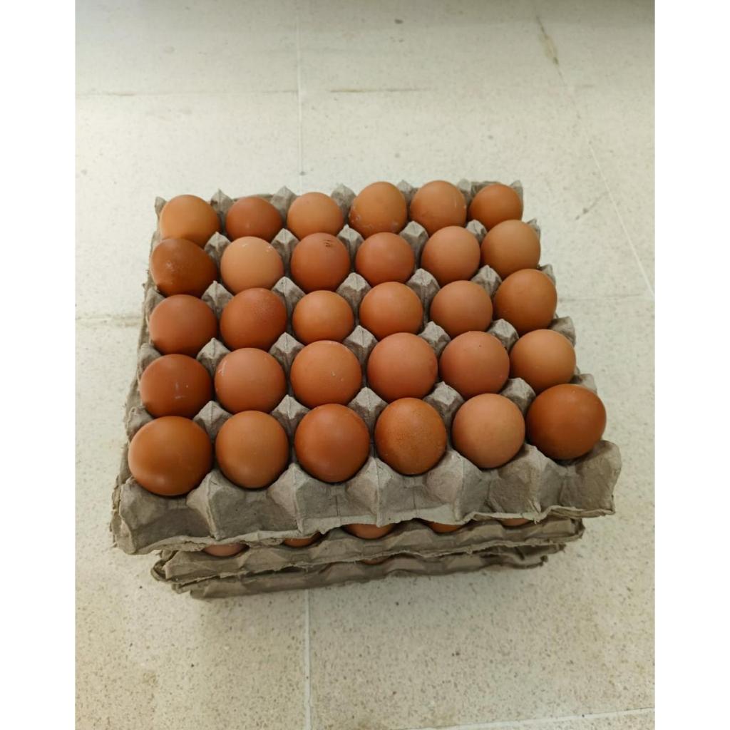 Jual TELUR AYAM NEGERI 1 KG ISI 15-17 BUTIR / FRESH 100% | Shopee Indonesia