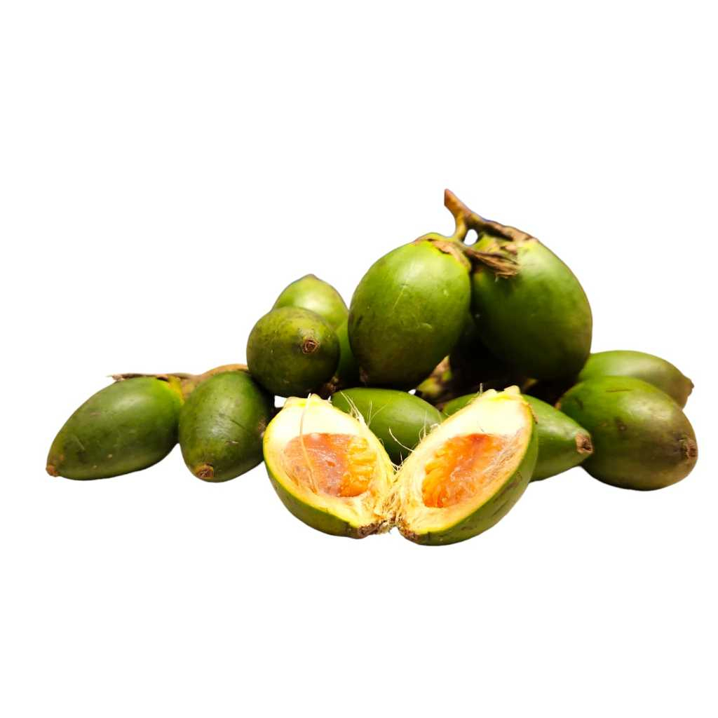 Jual Buah Pinang Muda 1 Kg Jembe Nom Muda Masih Lunak Dijamin | Shopee ...