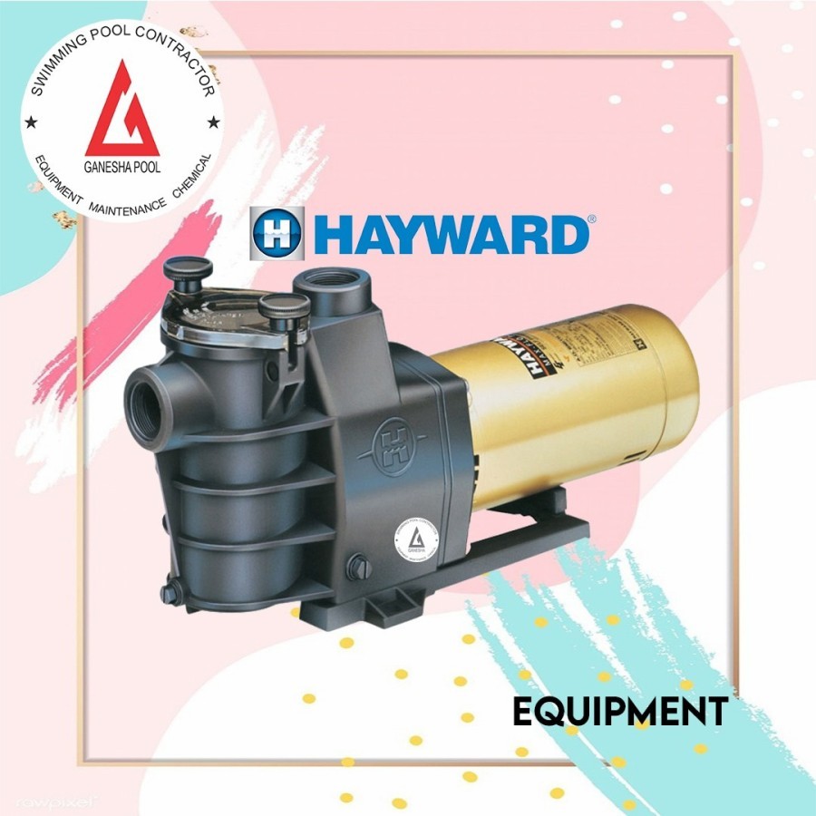 Jual Pompa Kolam Renang HAYWARD 1,5 Hp Tipe Max Flo Kapasitas 1,5Hp | Shopee Indonesia