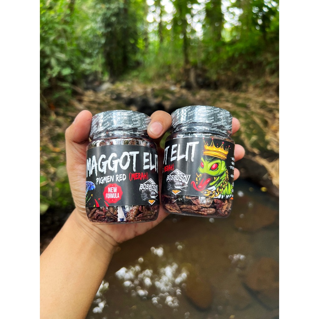 Jual MAGGOT ELIT RED & BLUE (UNTUK WARNA MERAH DAN BITU BY BOS BOS QU ...