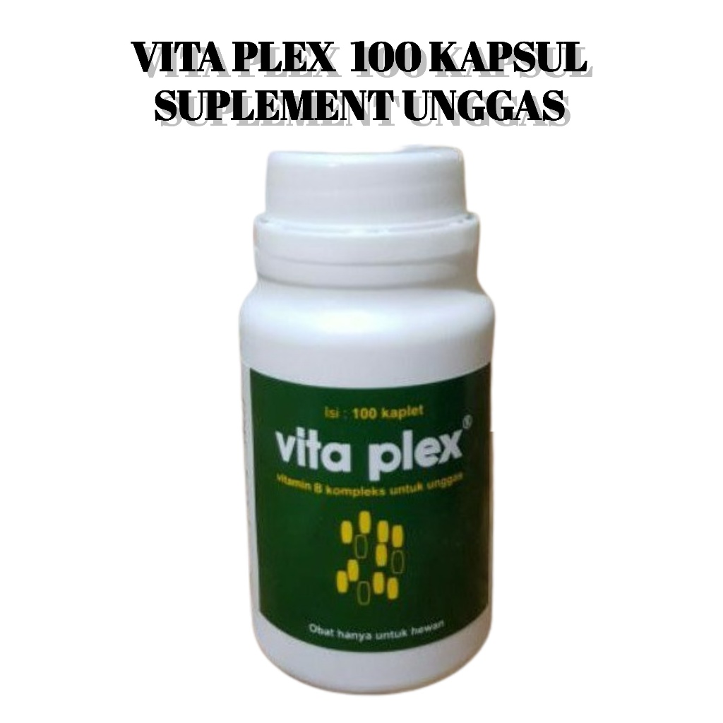 Jual Vita Plex Botol Isi 100 Kaplet Vitamin B Kompleks Vitaplex Unggas ...