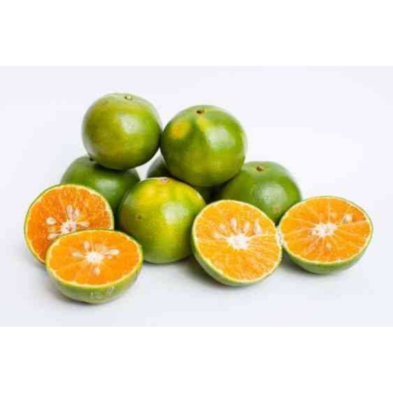 Jual buah jeruk siam fresh 1kg | Shopee Indonesia