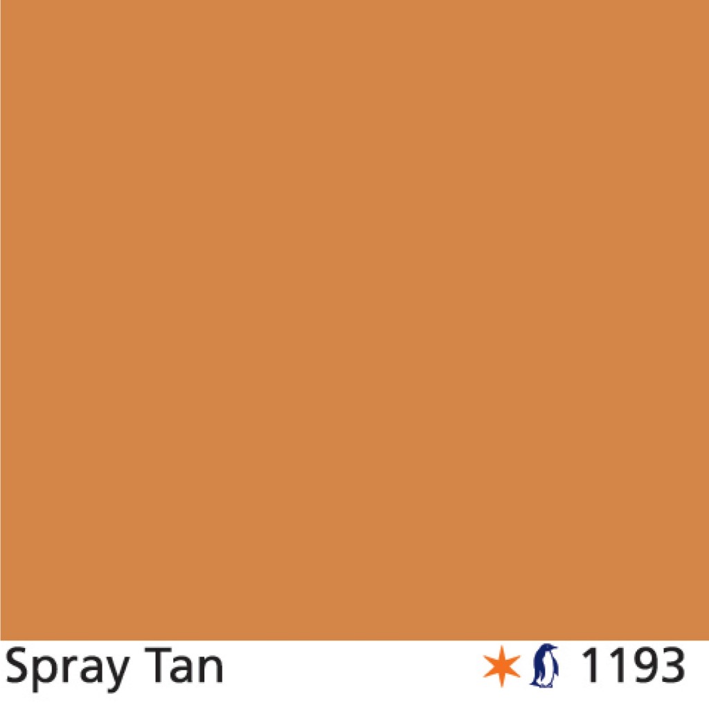 Jual CAT TEMBOK INTERIOR DAN EKSTERIOR JOTUN - SPRAY TAN/1193 | Shopee ...