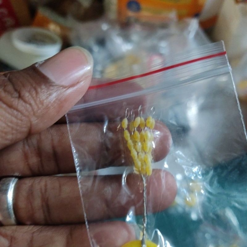 Jual stopper oval warna karet mentah kuning isi 30 | Shopee Indonesia