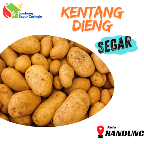 Jual Kentang Dieng Besar Bandung | Shopee Indonesia