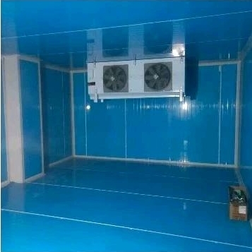 Jual Cold storage Freezer Custom Cold Room Ruangan pendingin Frozen ...