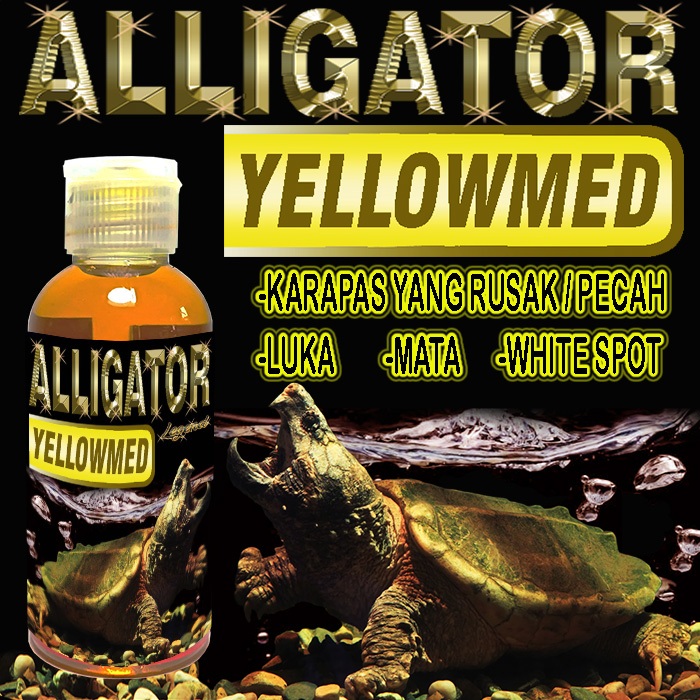 Jual ALLIGATOR YELLOWMED OBAT KURA-KURA AIR MENGOBATI WHITE SPOT BINTIK ...