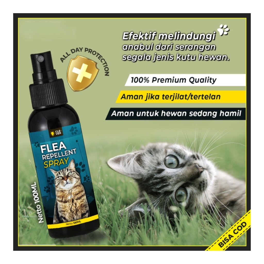 Jual FLEA REPELLENT SPRAY 100mL - Pembasmi dan Pencegah Kutu Kucing ...