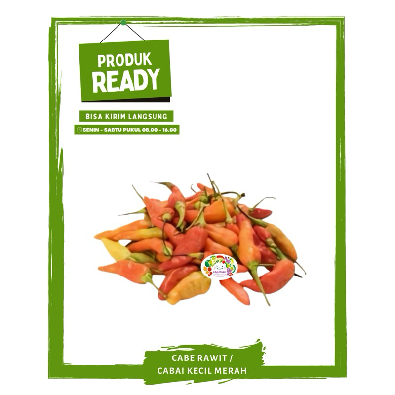 Jual Cabe Rawit / Cabai Kecil Merah / Sayur Sayuran Segar Ready On ...