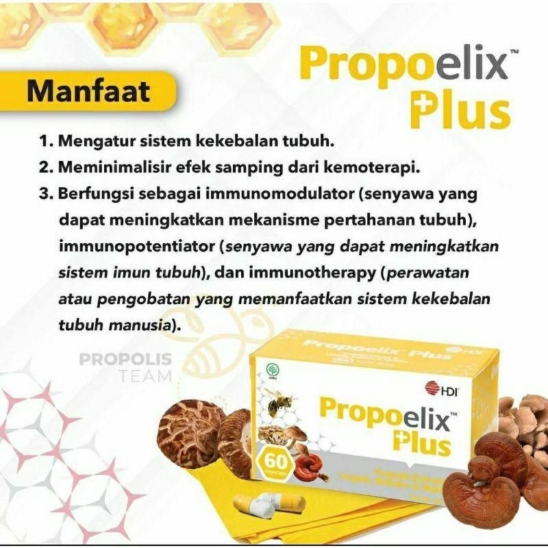 Jual Propoelix Plus (60 Vegekaps) | Shopee Indonesia