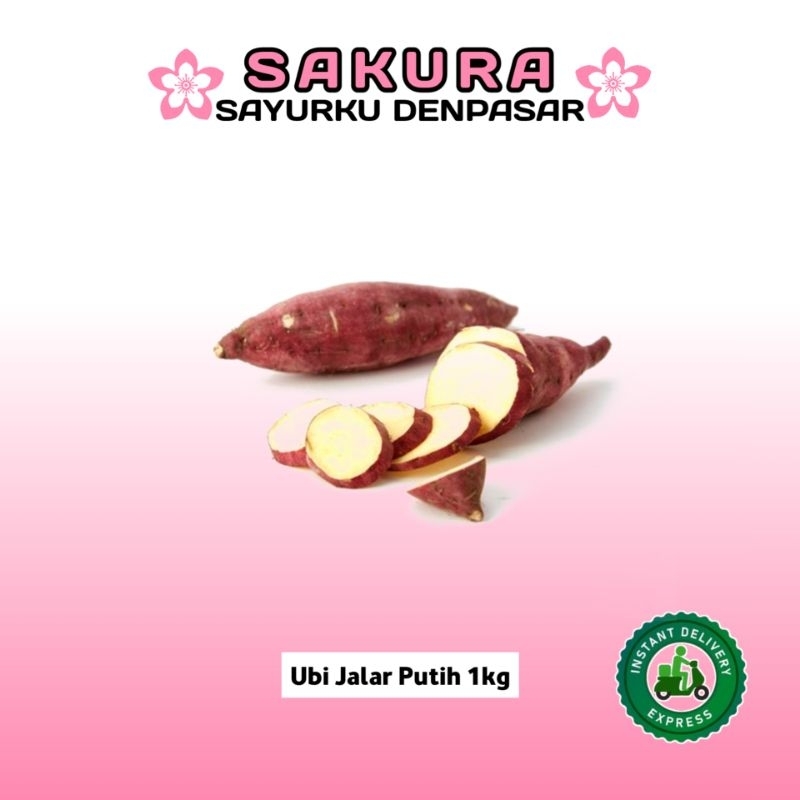 Jual Ubi Jalar Putih - SAKURA | Shopee Indonesia