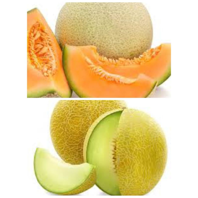 Jual Buah melon, melon kuning | Shopee Indonesia