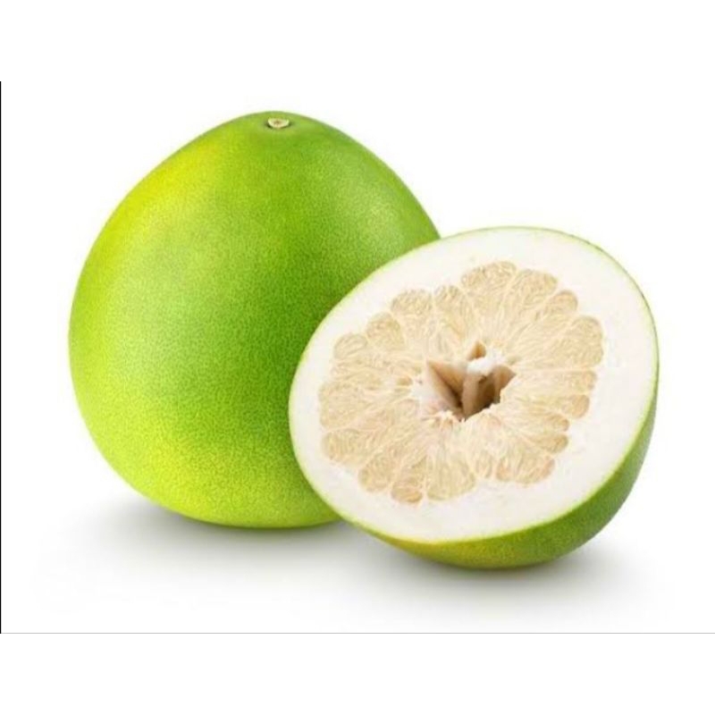 Jual Tanaman Jeruk Bali berbuah | Shopee Indonesia