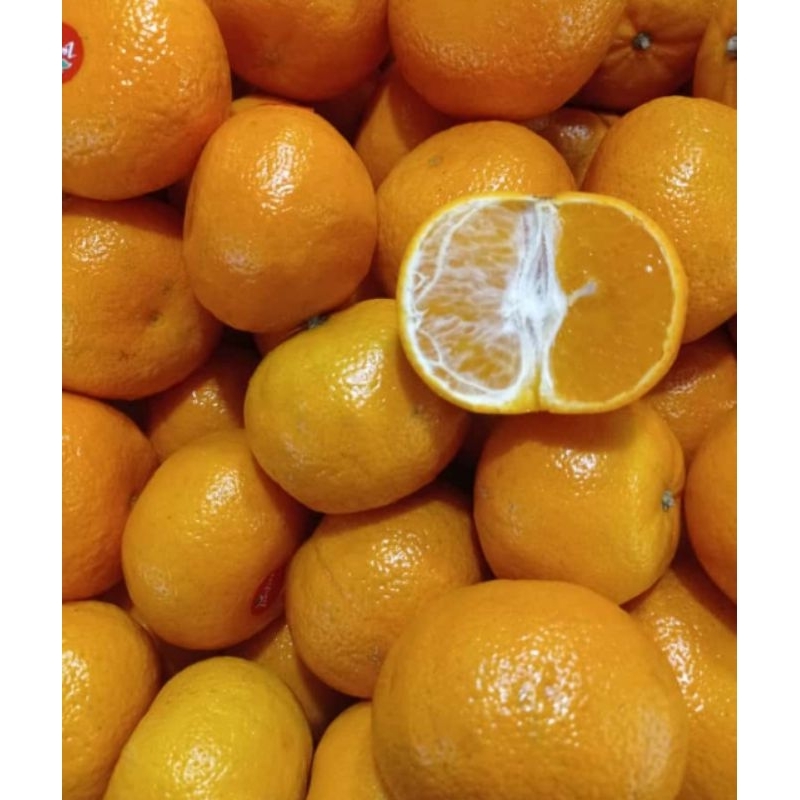 Jual Jeruk Honey Murcot Banyak Air 1 Kg | Shopee Indonesia