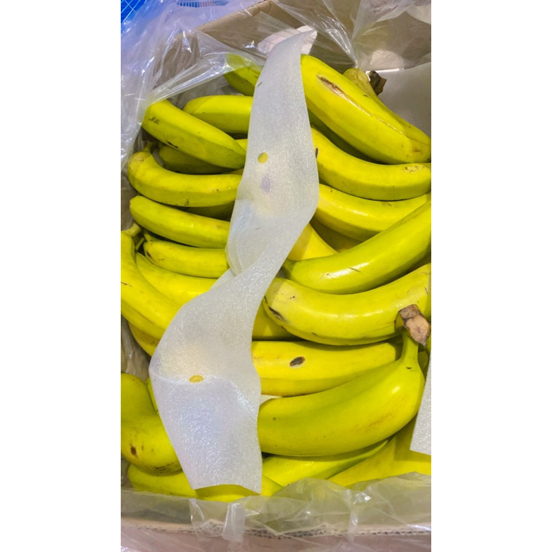 Jual Pisang Cavendish Sunpride 1kg | Shopee Indonesia