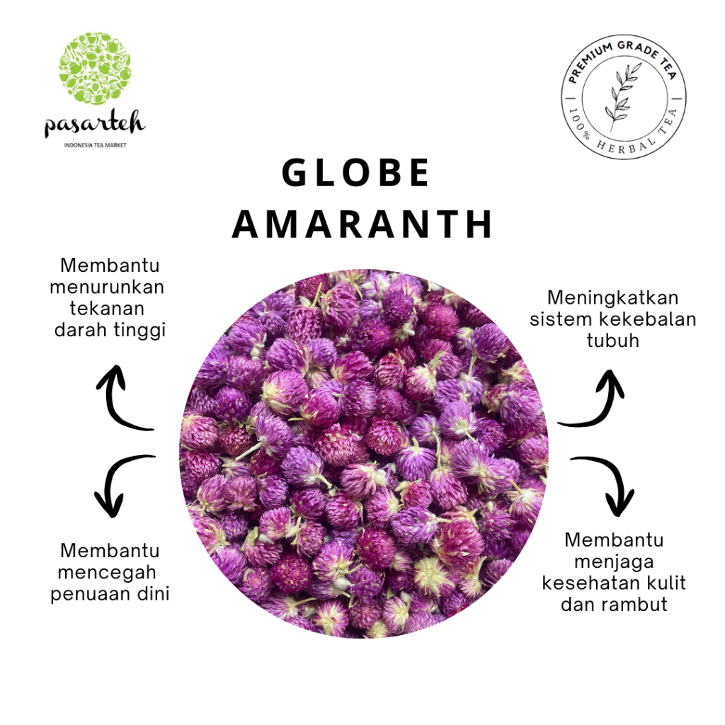 Jual [ pasarteh ] Globe Amaranth I Tisane I Teh Bunga I Bunga Kenop ...