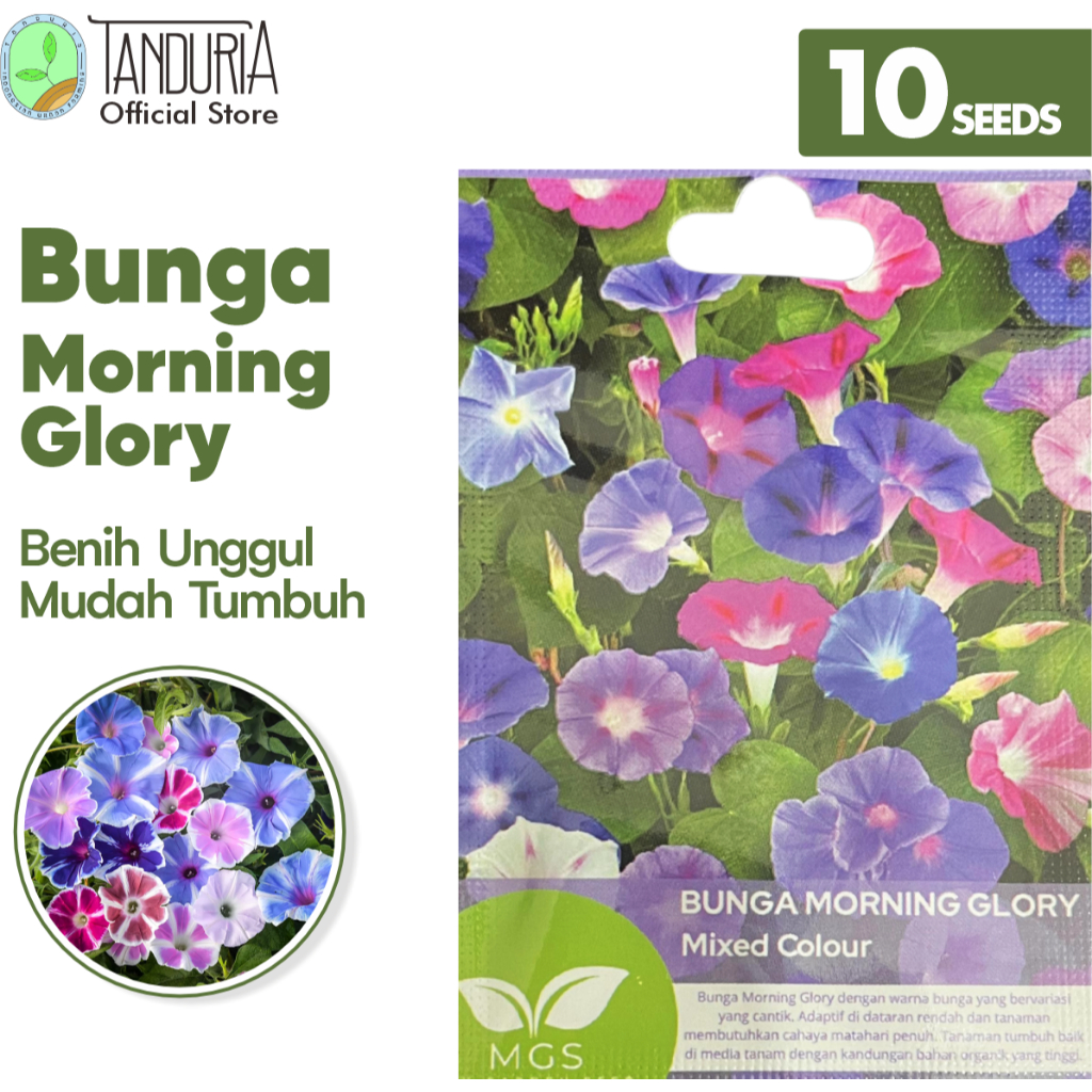Jual TANDURIA - Benih Bunga Morning Glory by Mix Garden Seed Bibit Biji ...