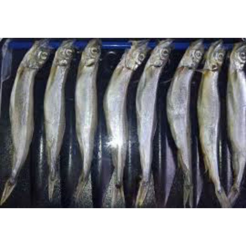 Jual Ikan shisamo / ikan telor | Shopee Indonesia