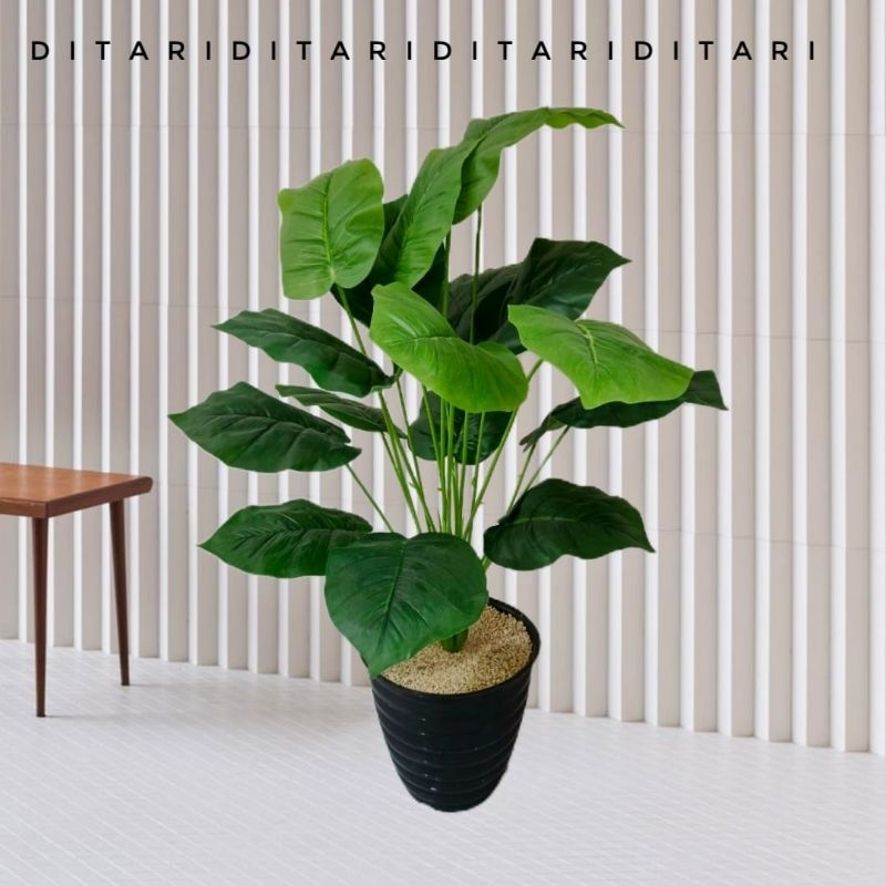 Jual Daun tanaman jumbo tanaman hias tanaman palsu pot tirus pot tawon ...