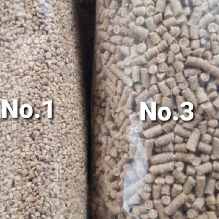 Jual Update Baru SELALU READY PakanPelet Lobster Air Tawar BFC Mini ...