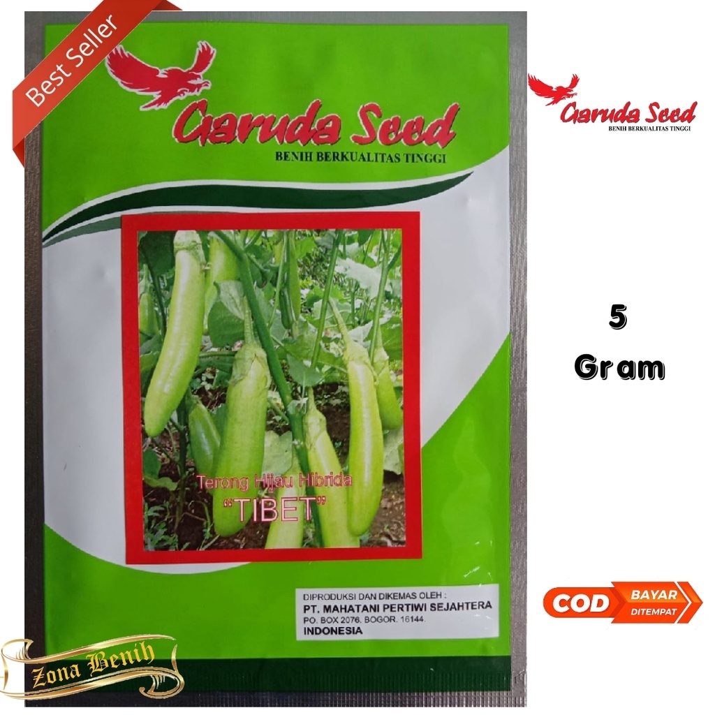Jual Bibit Terong Hijau Hibrida Tibet Isi 5 Gram Benih Terong Hijau ...