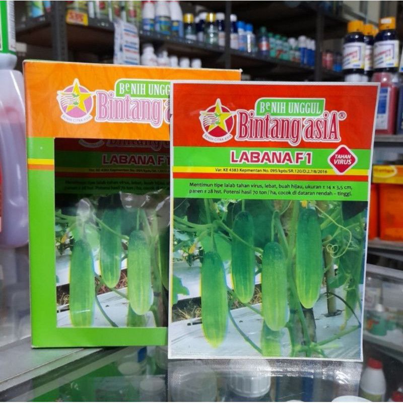 Jual Benih Timun Labana F1 Isi 20 Gram Kadaluarsa 2025 Cap Bintang Asia ...