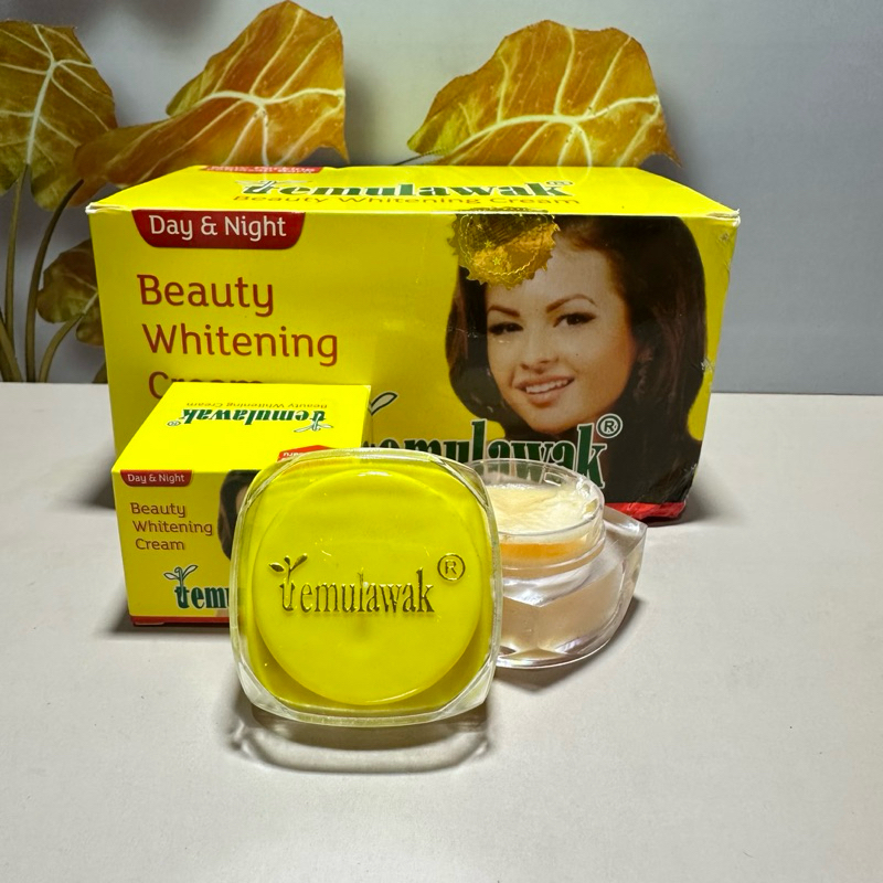 Jual CREAM TEMULAWAK BEAUTY POT KACA LUSINAN ( 12pcs ) | Shopee Indonesia