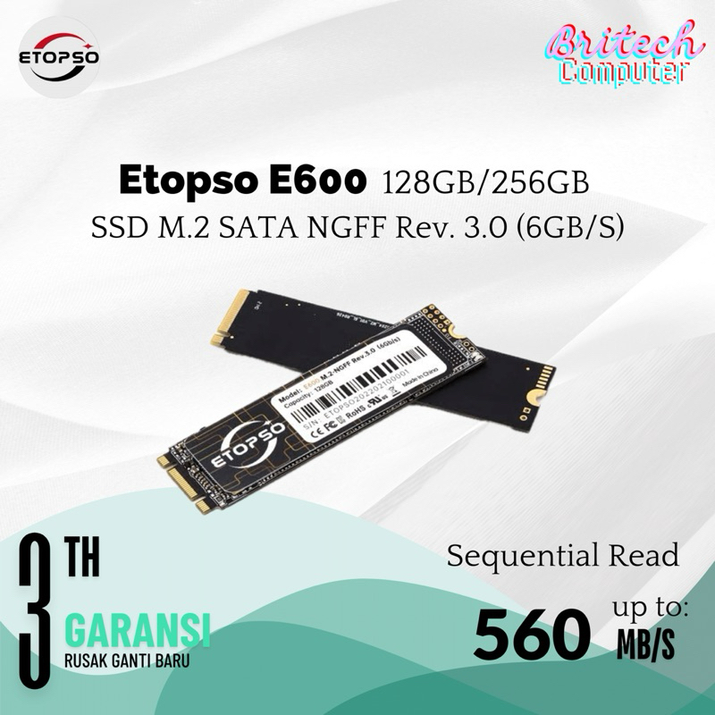 Jual SSD 256GB M.2 SATA III INTERNAL NGFF Etopso E600 128GB/256GB ...
