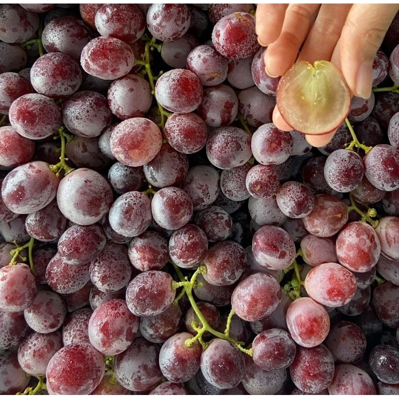 Jual anggur merah Australia jumbo 1 kg | Shopee Indonesia