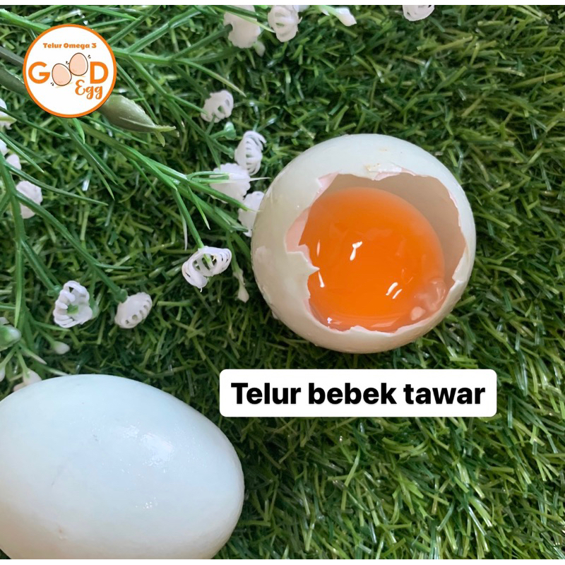 Jual [Butiran] Telur Bebek Omega Mentah Tawar - harga per butir ...