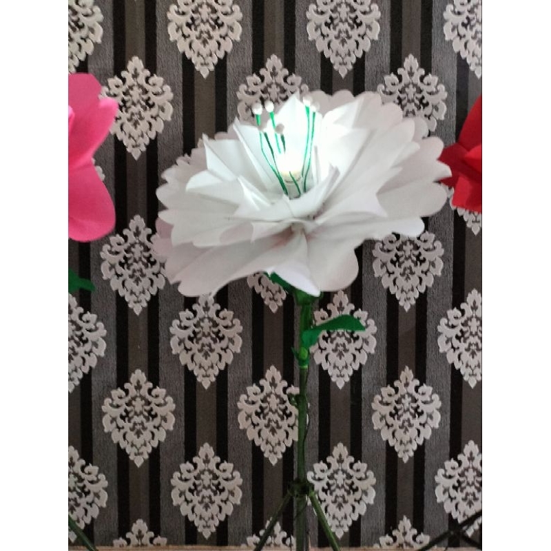Jual set bunga gerak pesanan | Shopee Indonesia