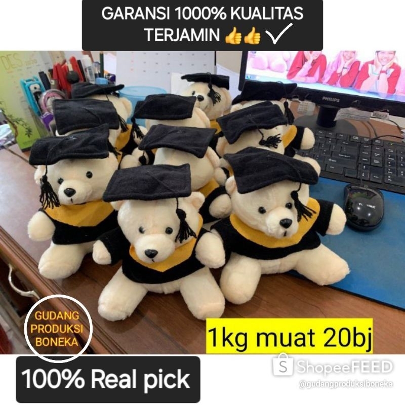 Jual Bear wisuda mini real pick / boneka wisuda mini / boneka ...