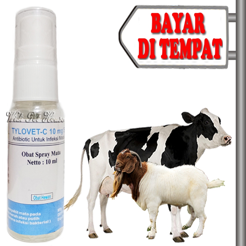 Jual Obat Mata Sapi Kambing Domba Kerbau Tylovet C Spray Hewan Ternak ...