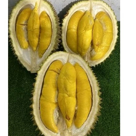 Jual BUAH DURIAN MUSANG KING ASLI MALAYSIA SUPER JUMBO UTUH | Shopee Indonesia