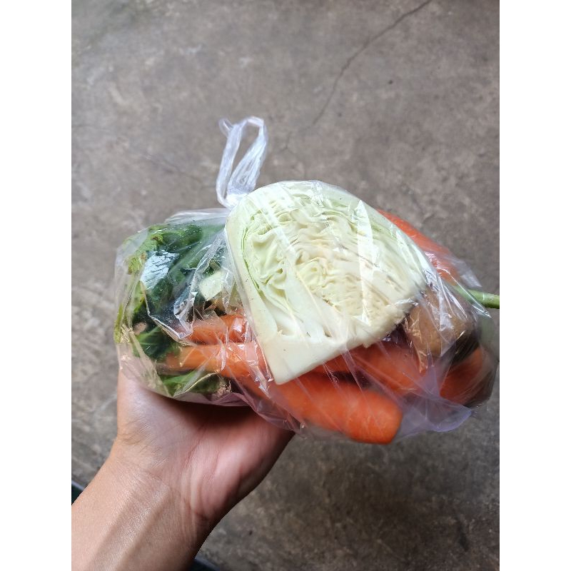 Jual Paket sayur (sayur sop dan sayur asem) | Shopee Indonesia