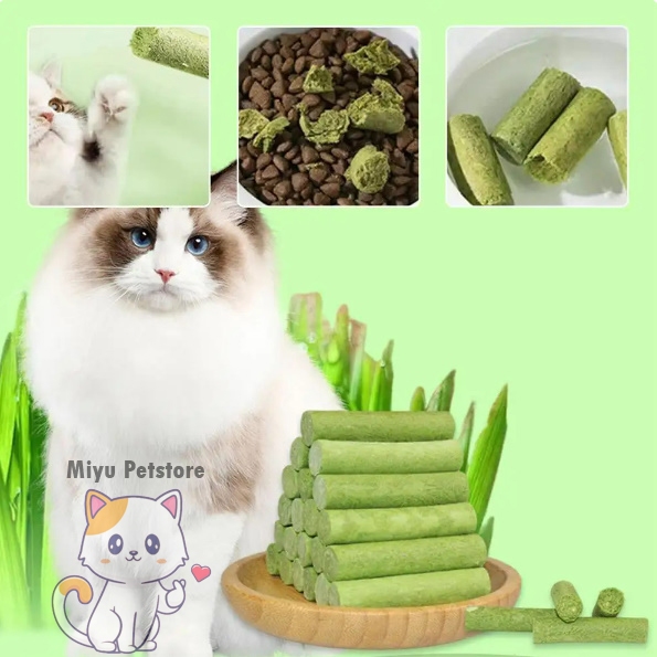 Jual Snack Rumput Kucing Premium Cat Grass Stick Cemilan Kucing Snack ...