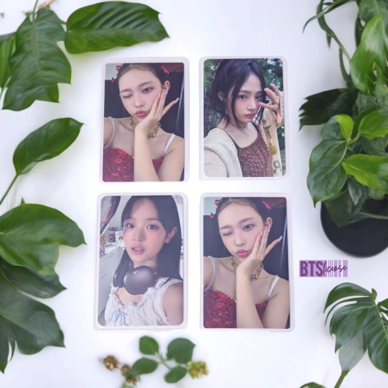Jual BUNDLE OFFICIAL HAERIN MINJI HANNI • PC PHOTOCARD NEWJEANS 2024 ...