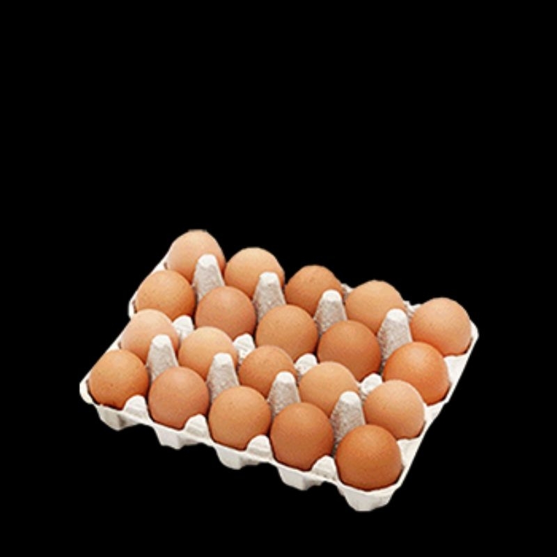 Jual telur ayam 1kg fresh murah | Shopee Indonesia