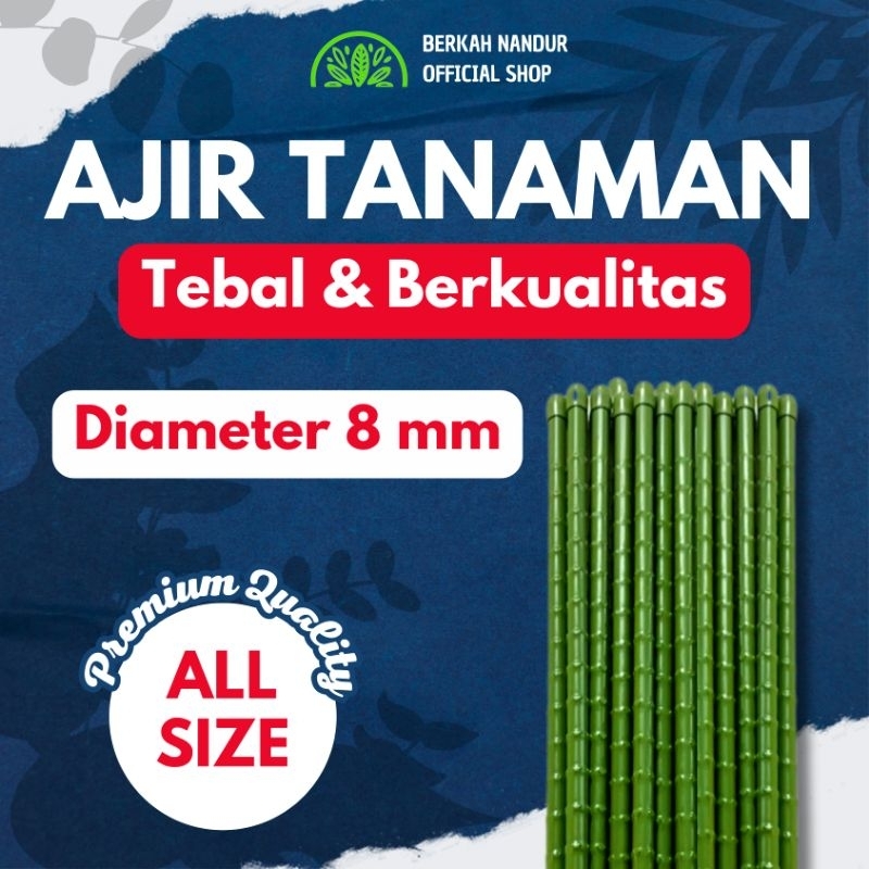 Jual Ajir Tanaman Kuat Awet 75 90 120 Ajir Takiron Penyangga Tanaman Estetik | Shopee Indonesia