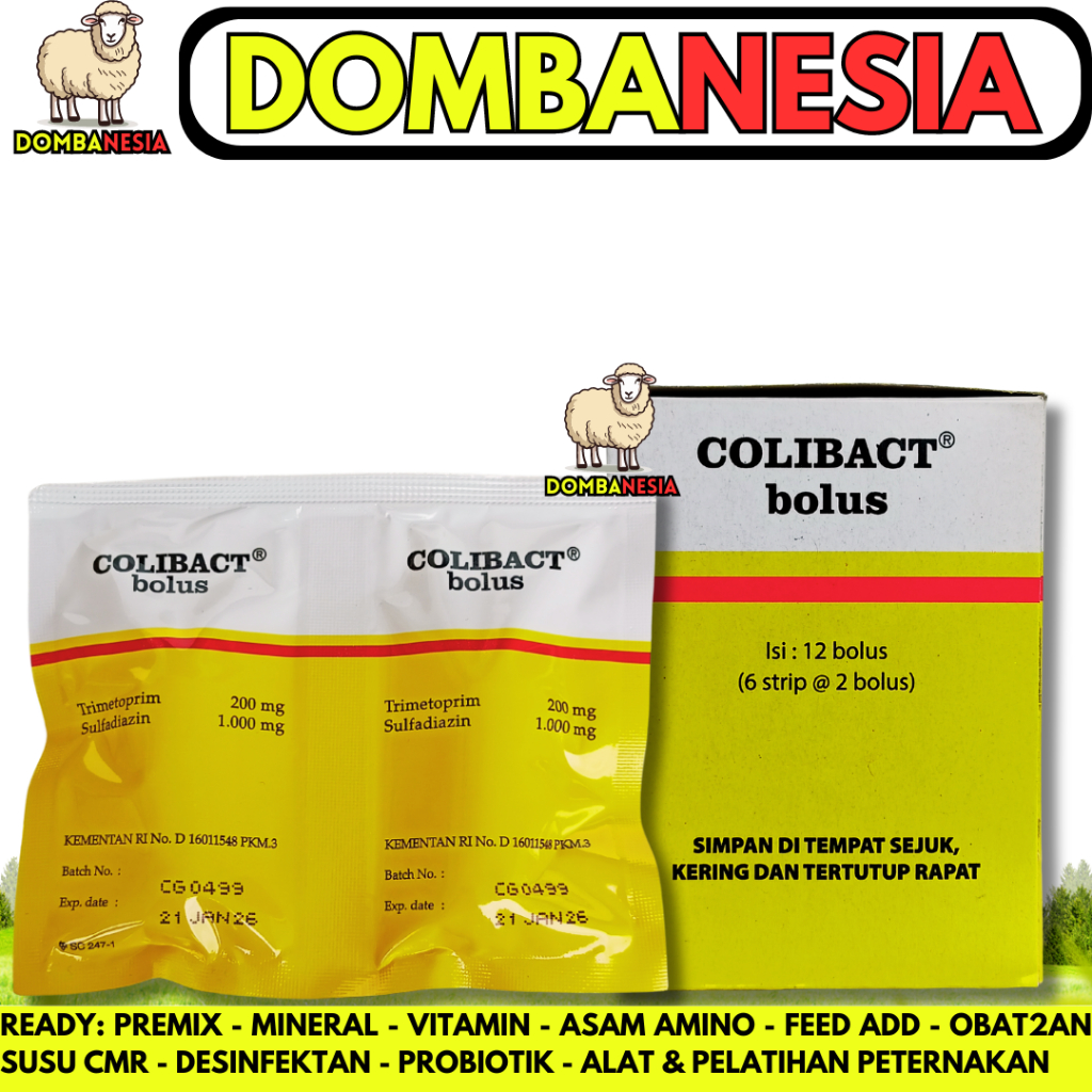 Jual COLIBACT BOLUS 1 BOX ISI 12 BOLUS SANBE - Obat Antibakteri Hewan ...