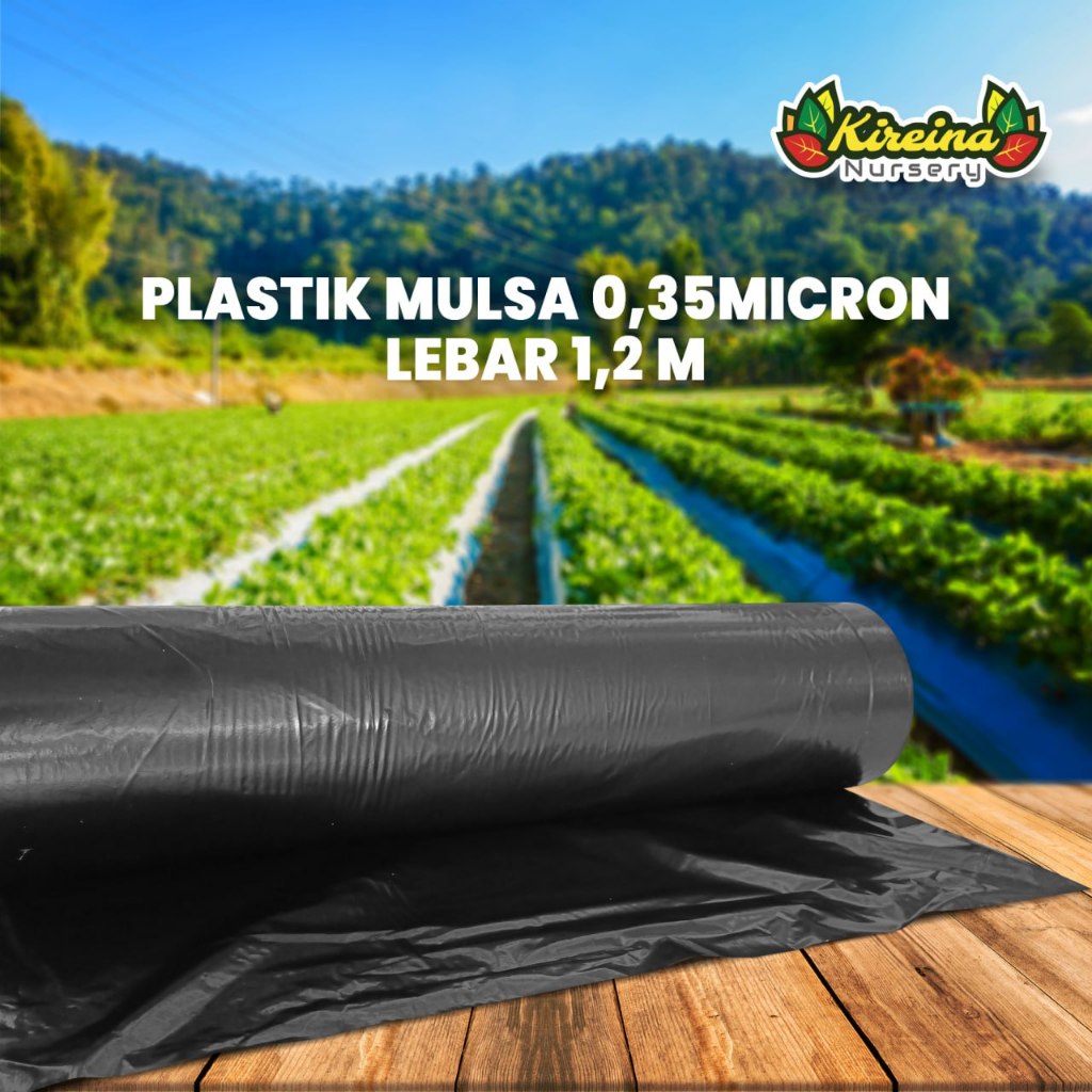 Jual Plastik Mulsa 0,35micron Lebar 1,2m (Harga per Panjang 1m ...