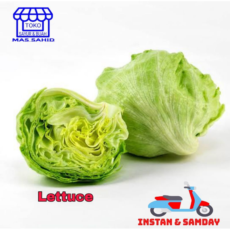 Jual Lettuce Segar Lektus Fresh 300g/400g | Shopee Indonesia
